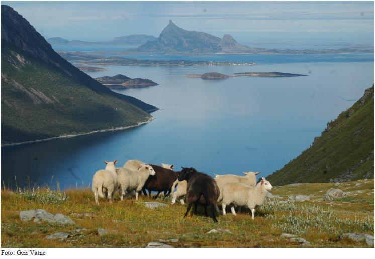 Tilskudd til tiltak i beiteområder - Lurøy kommune